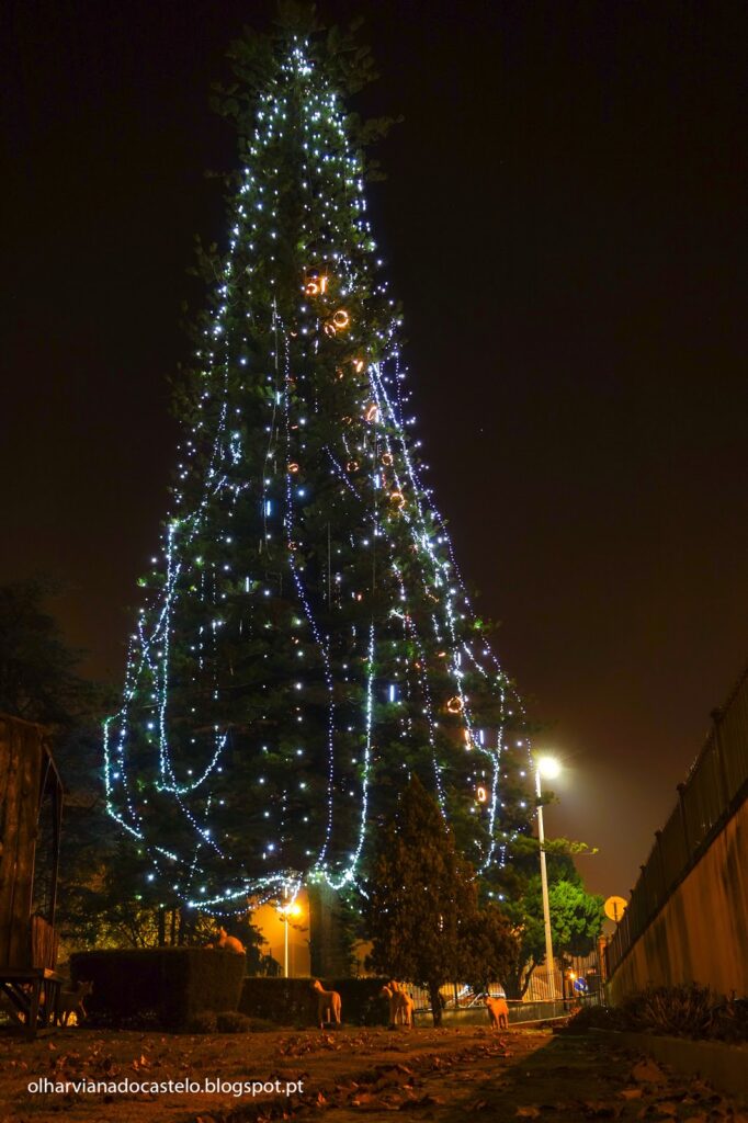 Unusual Portuguese Christmas traditions not to miss - The Getaway Van
